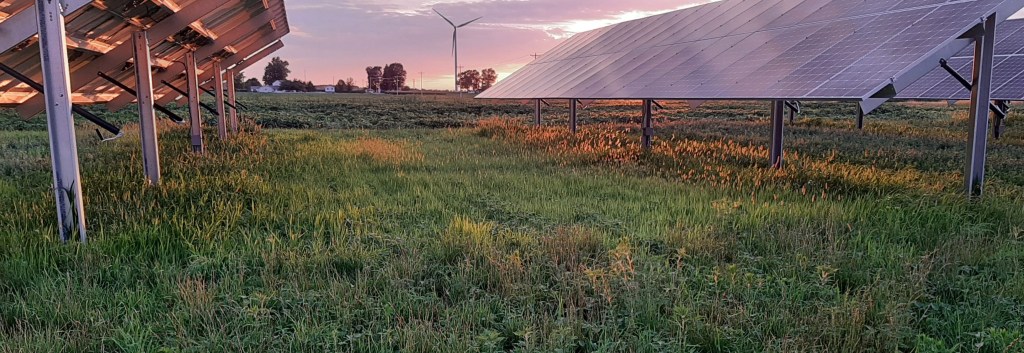 Agrivoltaics & Farm Operations - Savion Renewable Energy