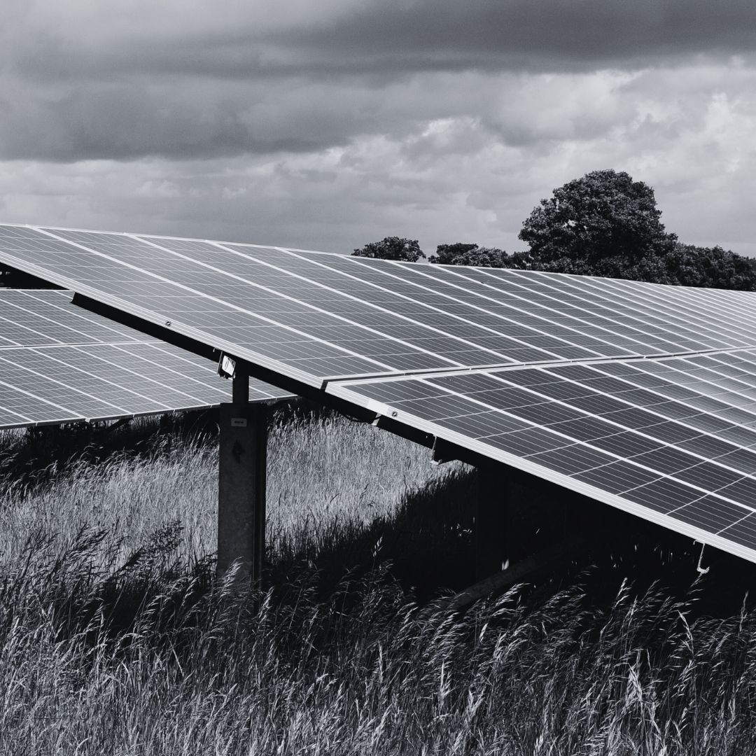 Toyota Signs Agreement to Offtake 100 MW of Electricity of Martin ...